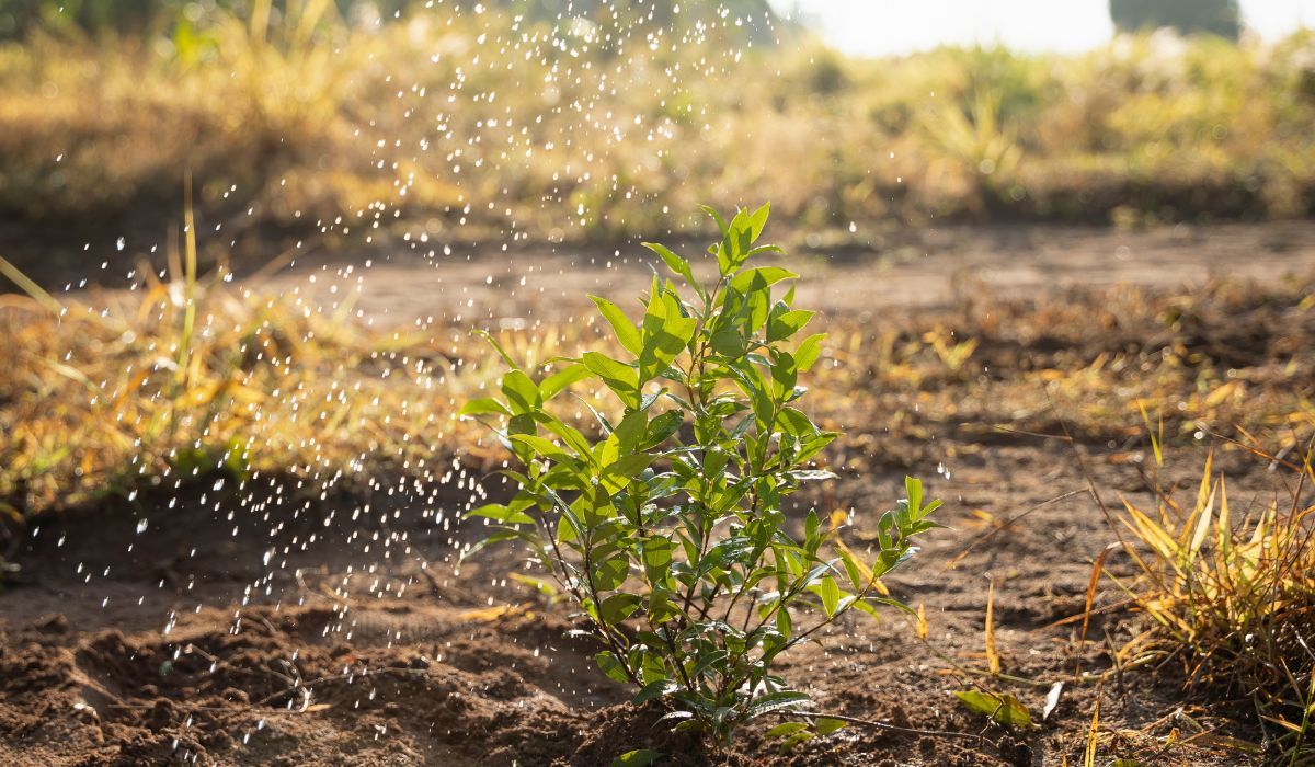 Pertek Air Limbah untuk Aplikasi ke Tanah dan SLO IPAL